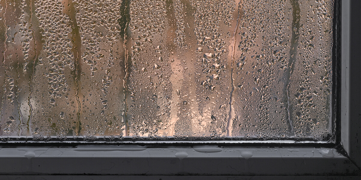 Proven Methods Of Resolving Condensation On Windows